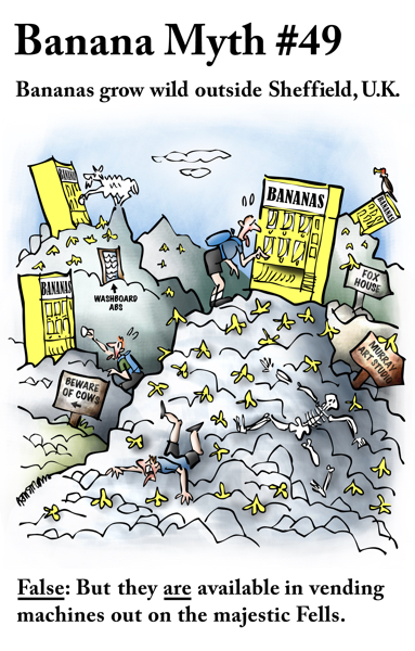 Banana Myths And Marketing Truths | Mark Armstrong Illustration ...